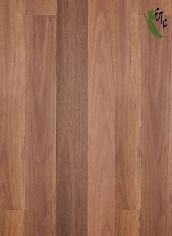 Grey Ironbark - Everlast Timber Flooring