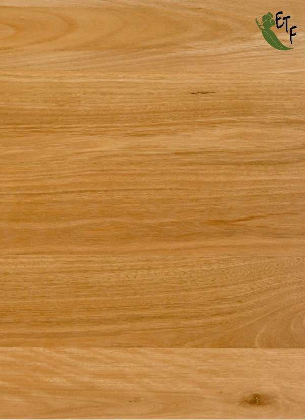 Tallowwood - Everlast Timber Flooring